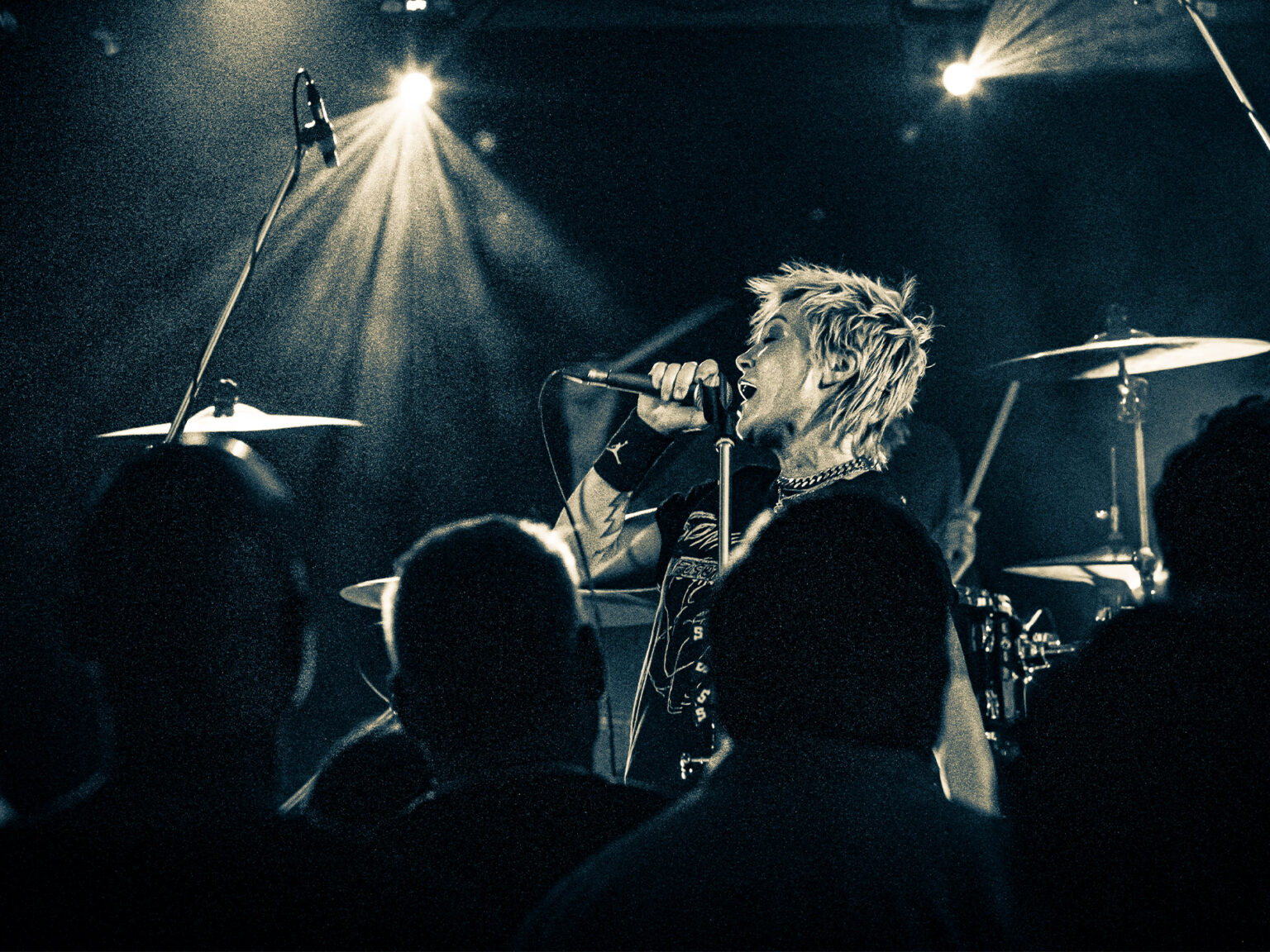 INTERVIEW: SARAH McLEOD From The Superjesus Talks About Their First New ...
